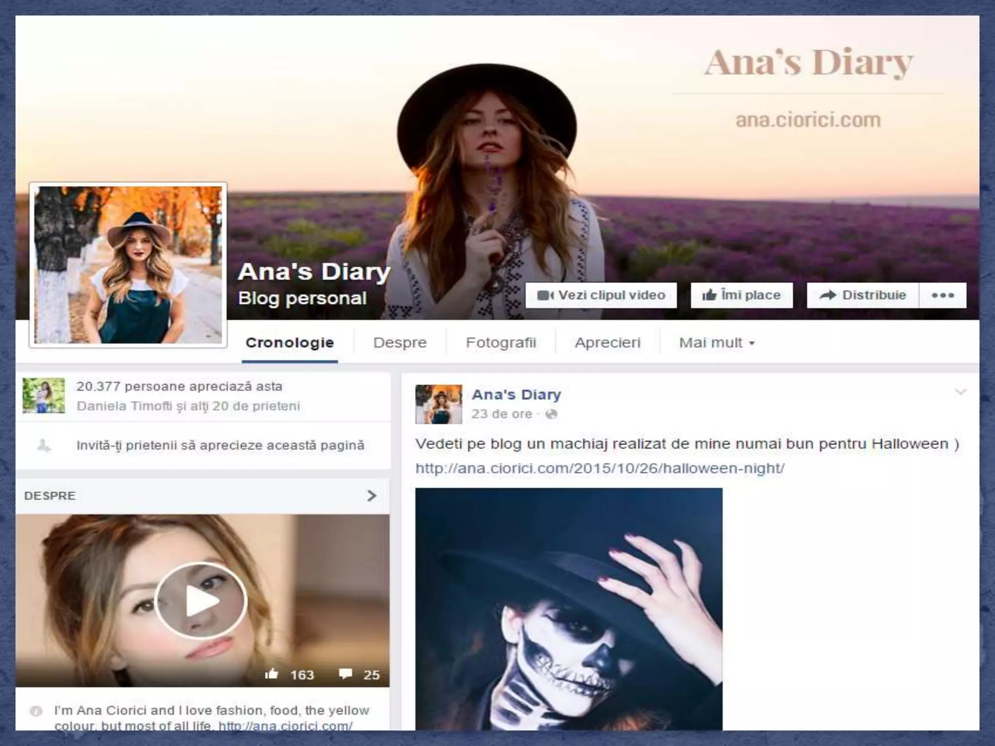 Ana’s diary blog | PPT