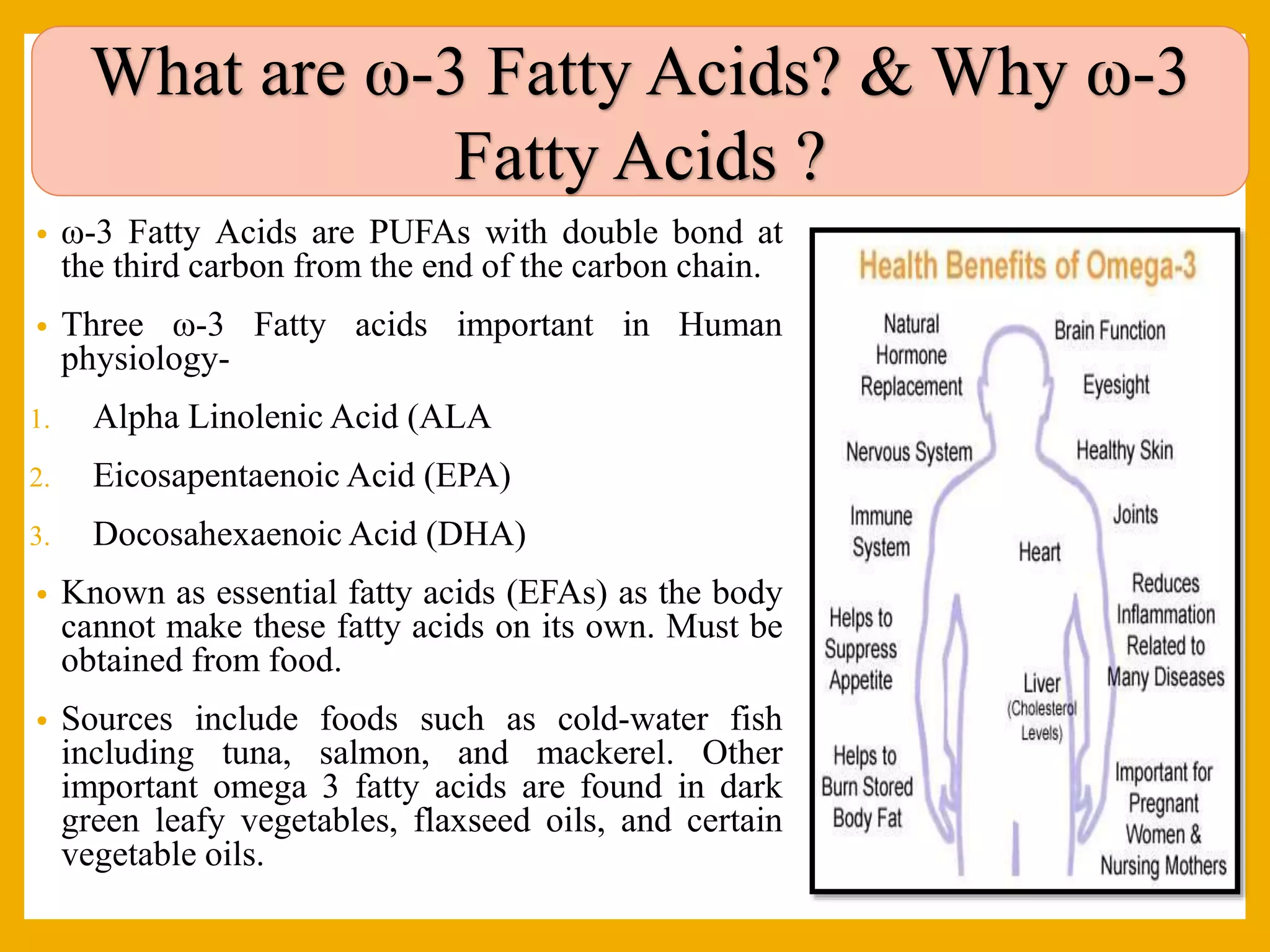 Omega-3 Fatty Acids - Anas Shaikh - 13FET1006 | PPTX