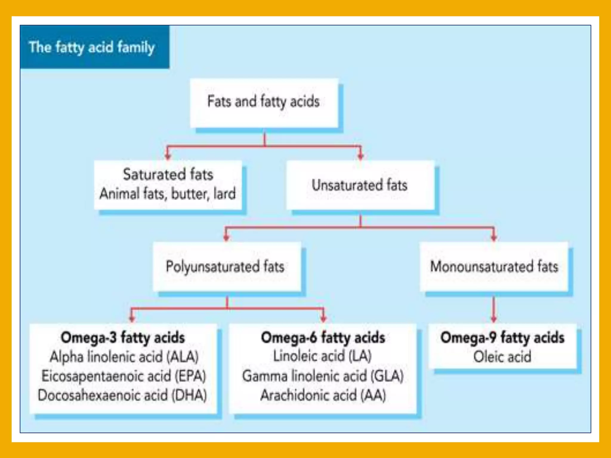 Omega-3 Fatty Acids - Anas Shaikh - 13FET1006 | PPT