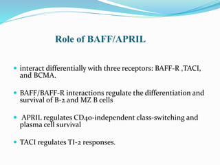 anti nuclear antibody | PPTX