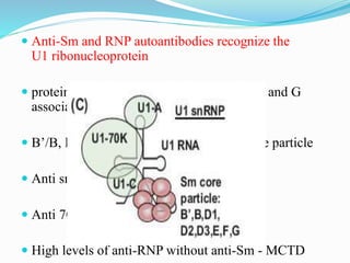 anti nuclear antibody | PPTX