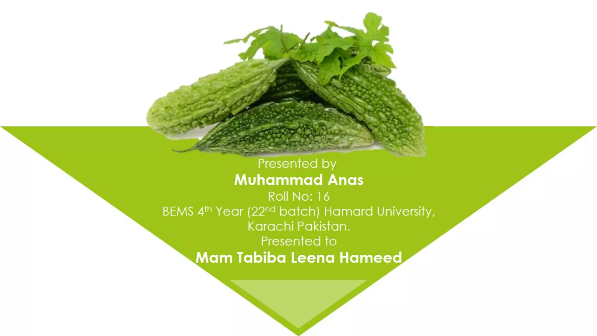 Momordica charantia - Bitter melon/gourd and Its Effects on Diabetes ...