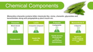 Momordica charantia - Bitter melon/gourd and Its Effects on Diabetes ...