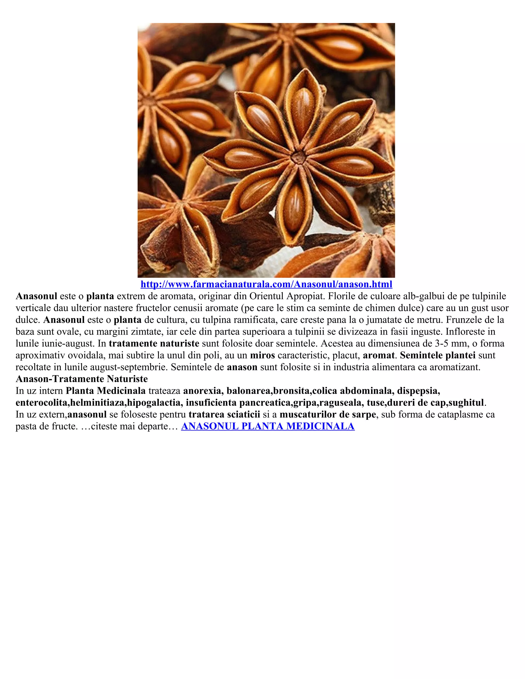 Anason planta medicinala | DOC