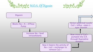 Mode of action of digoxin || Pharmacology || Anurag Gupta ...
