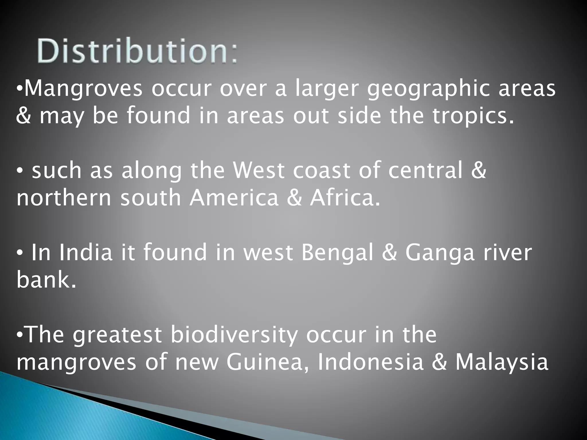 mangroves | PPT