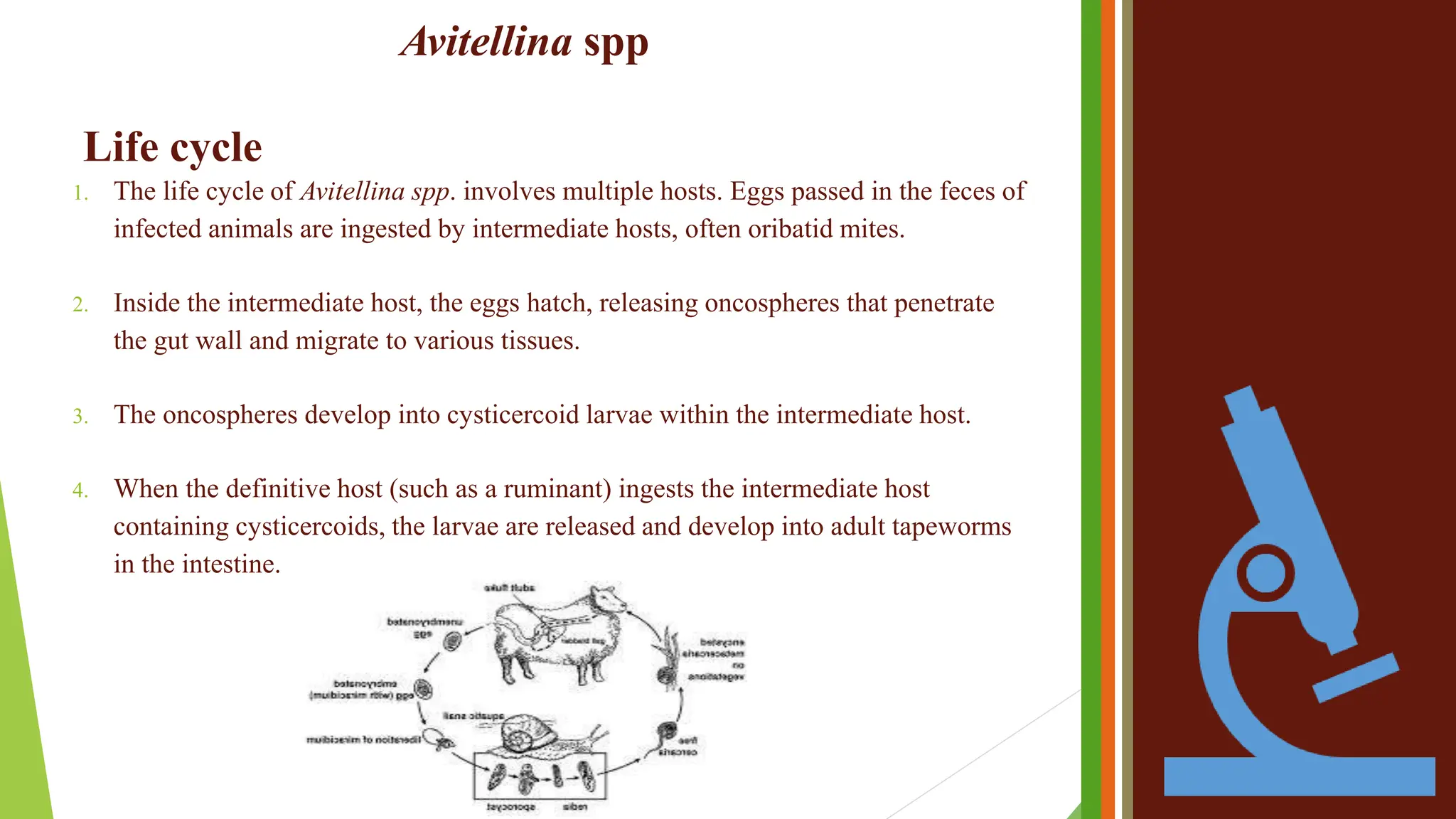 An assignment on Parasitic species , | PPTX
