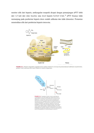 Anastesi Neuraxial dan Blok Saraf Perifer pada Pasien dengan ...