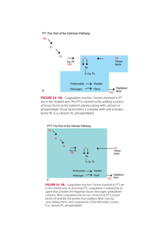 Anastesi Neuraxial dan Blok Saraf Perifer pada Pasien dengan ...