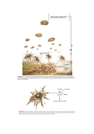 Anastesi Neuraxial dan Blok Saraf Perifer pada Pasien dengan ...