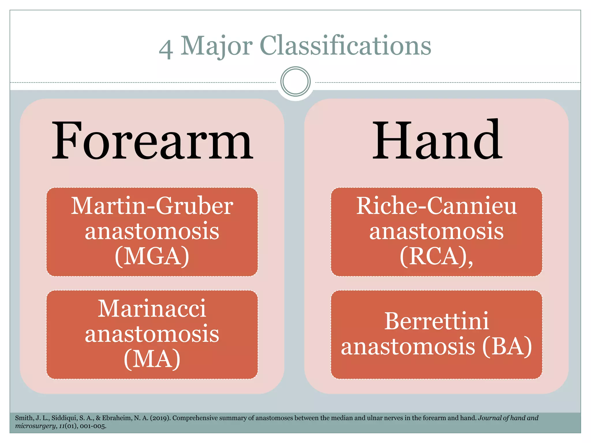 Anastomosis between Median and Ulnar Nerve in The Forearm and Hand | PPTX