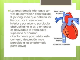 Anastomosis porto cava | PPTX