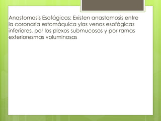 Anastomosis porto cava | PPTX