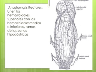 Anastomosis porto cava | PPT