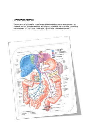 Anastomosis porto-cava | PDF
