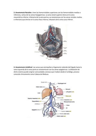 Anastomosis porto cava | PDF