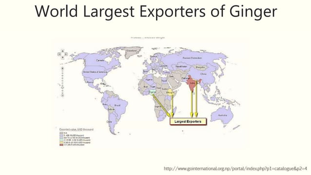 Zingiber officinale - Ginger and Its Effects on Inflammation, Arthritis ...