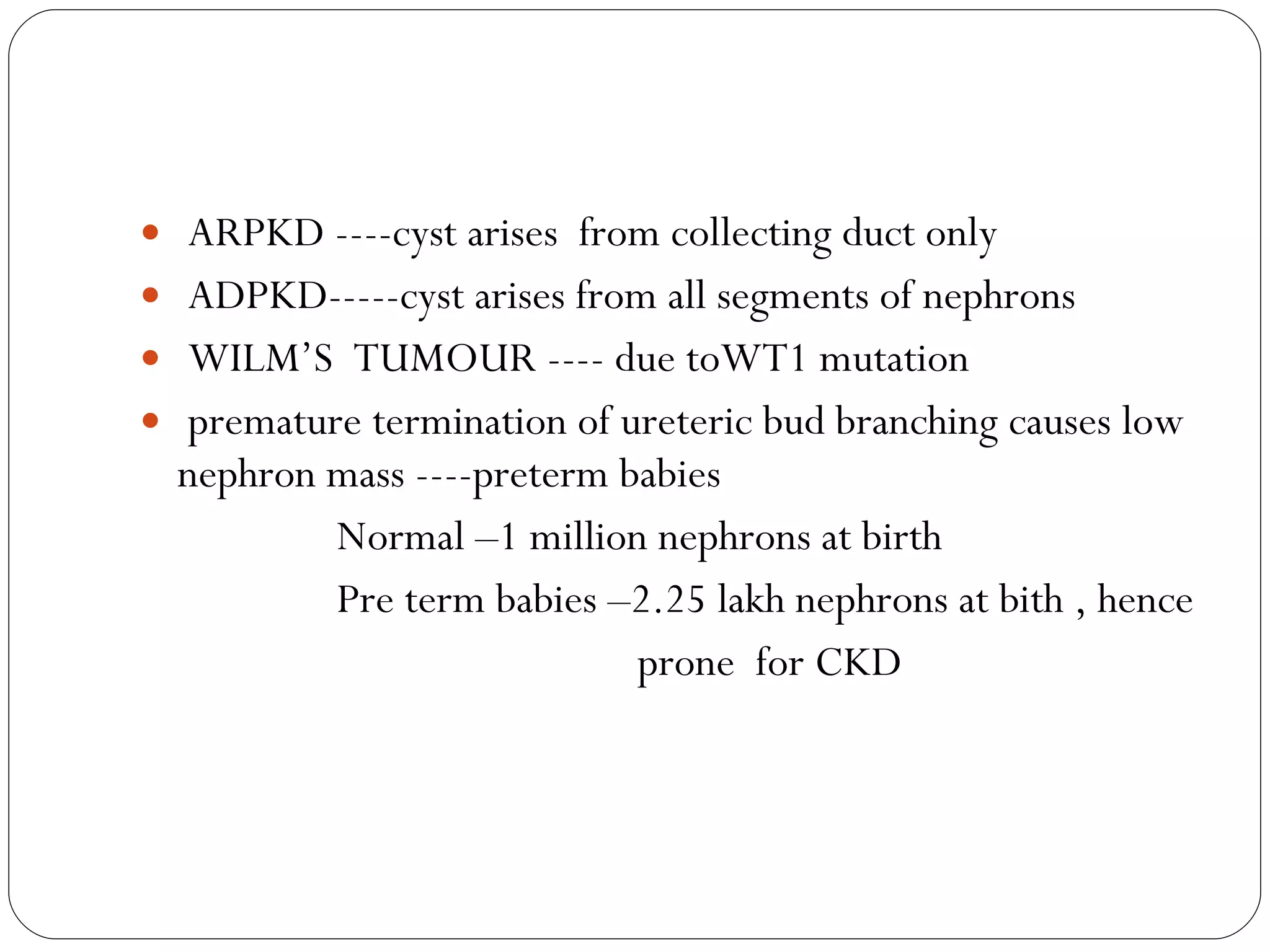 CME: Kidney - Anatomy & Physiology | PPT