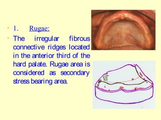 Anatamical landmarks of maxilla /continuing dental education | PPT