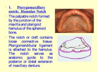 Anatomical landmarks of maxilla / dental implant courses | PPT