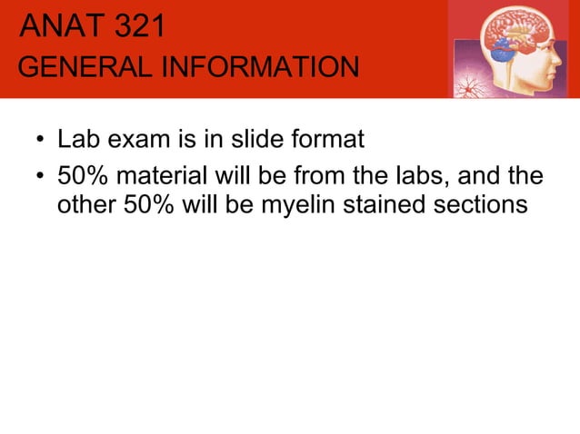 Anat 321 Lab2 | PPT