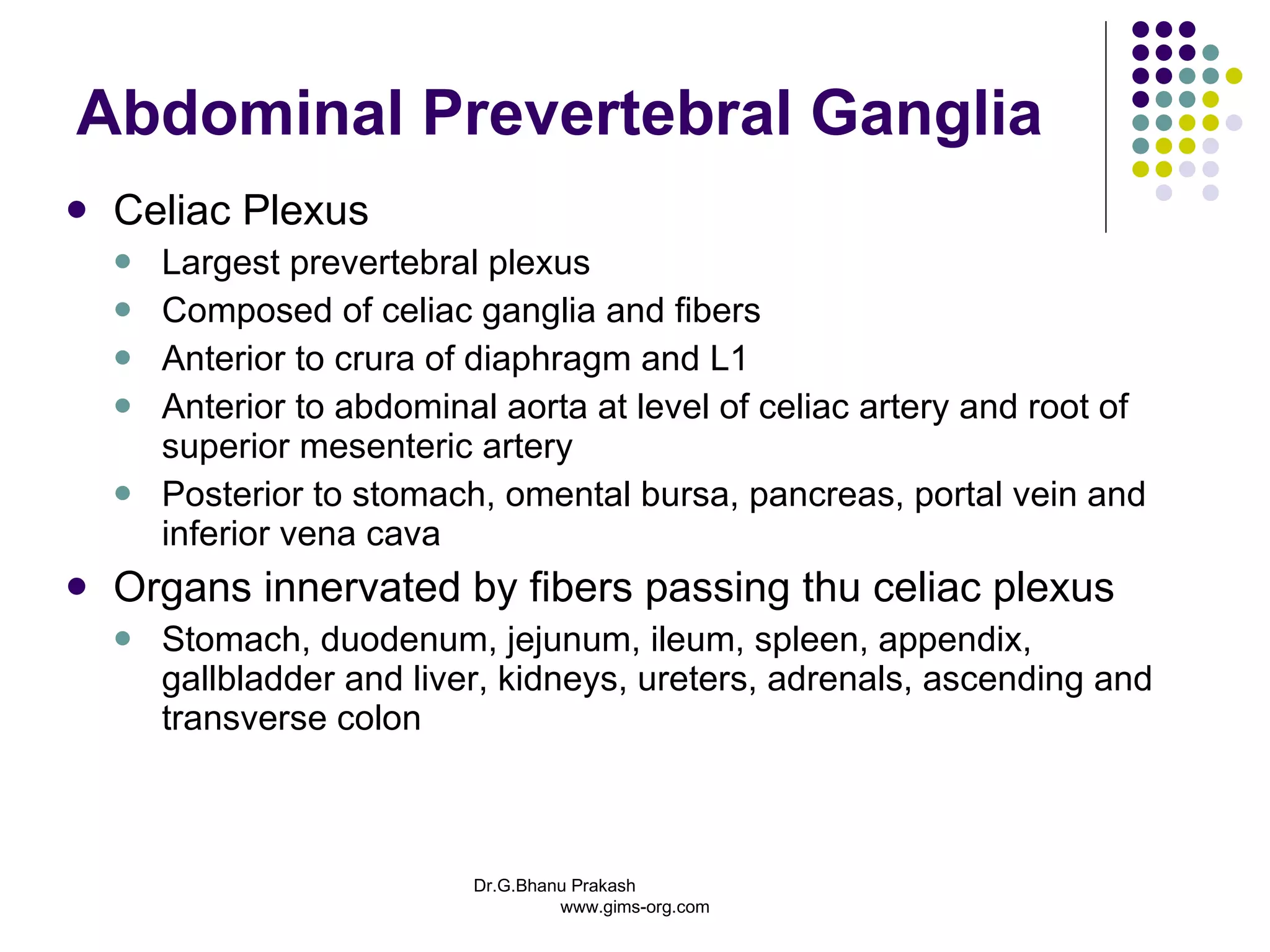 Anatomy abdomen and pelvis | PPT