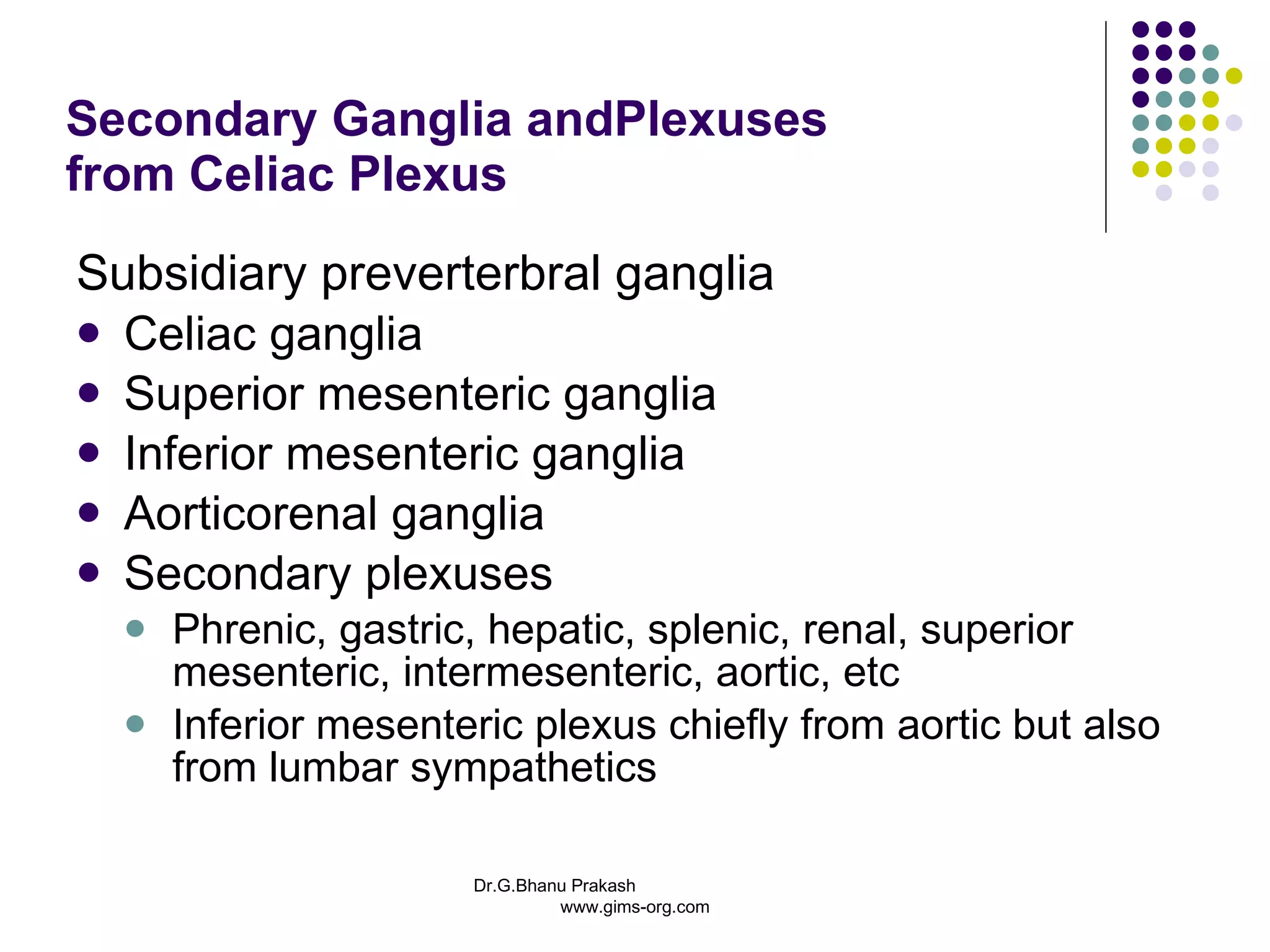 Anatomy abdomen and pelvis | PPT