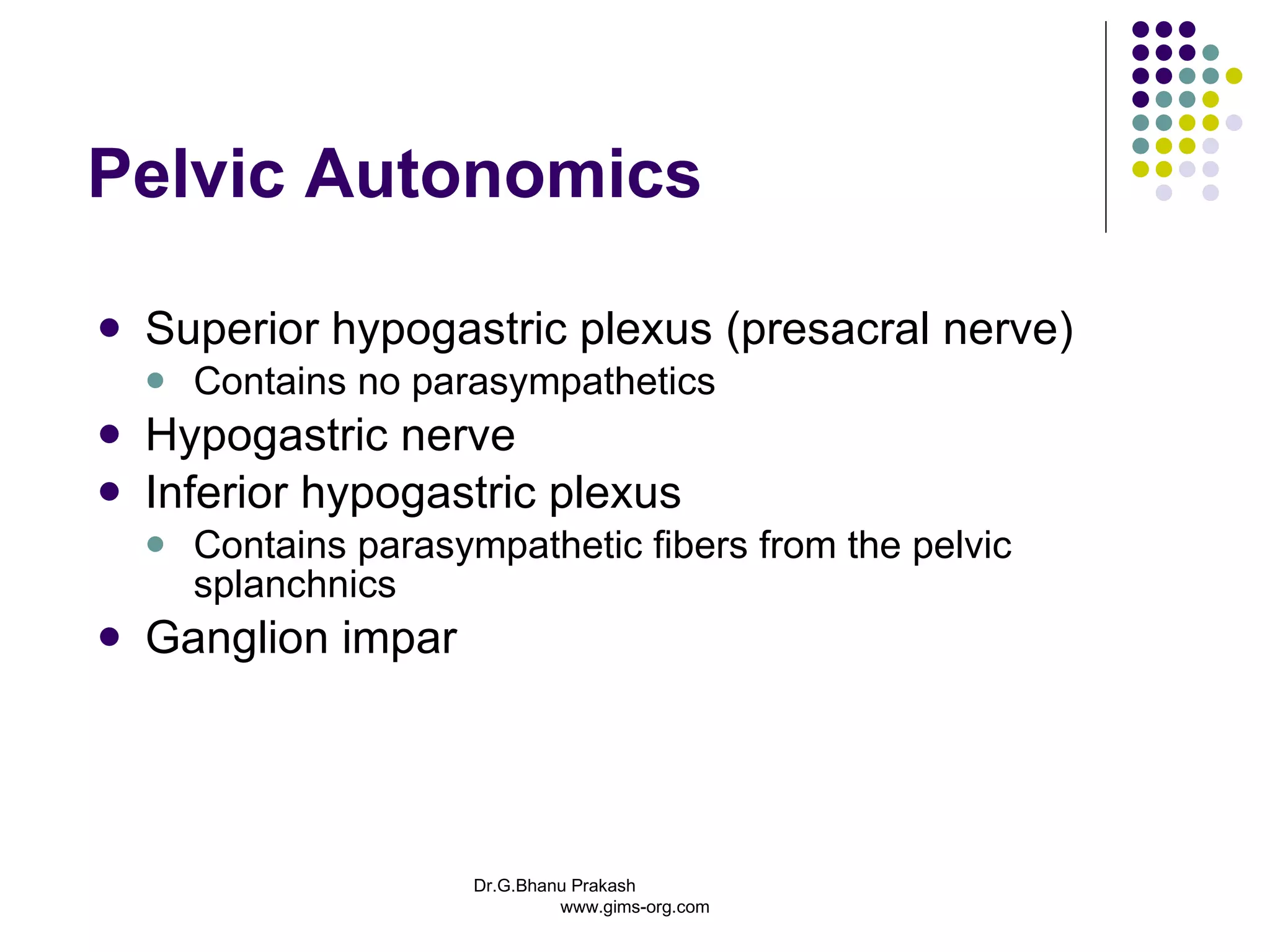 Anatomy abdomen and pelvis | PPT
