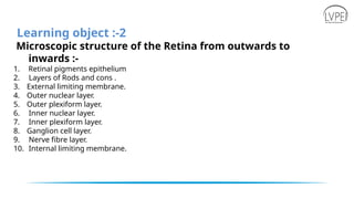 anatomy of retina about it and explanation.pptx