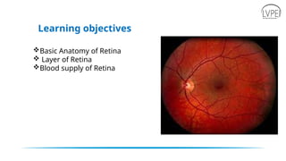 anatomy of retina about it and explanation.pptx