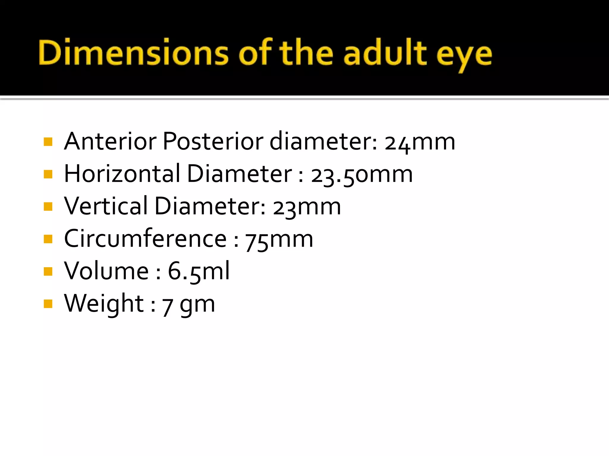 Anatomy and Development of eye.pptx | Eye and Vision Conditions ...