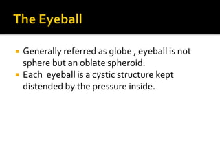 Anatomy and Development of eye.pptx