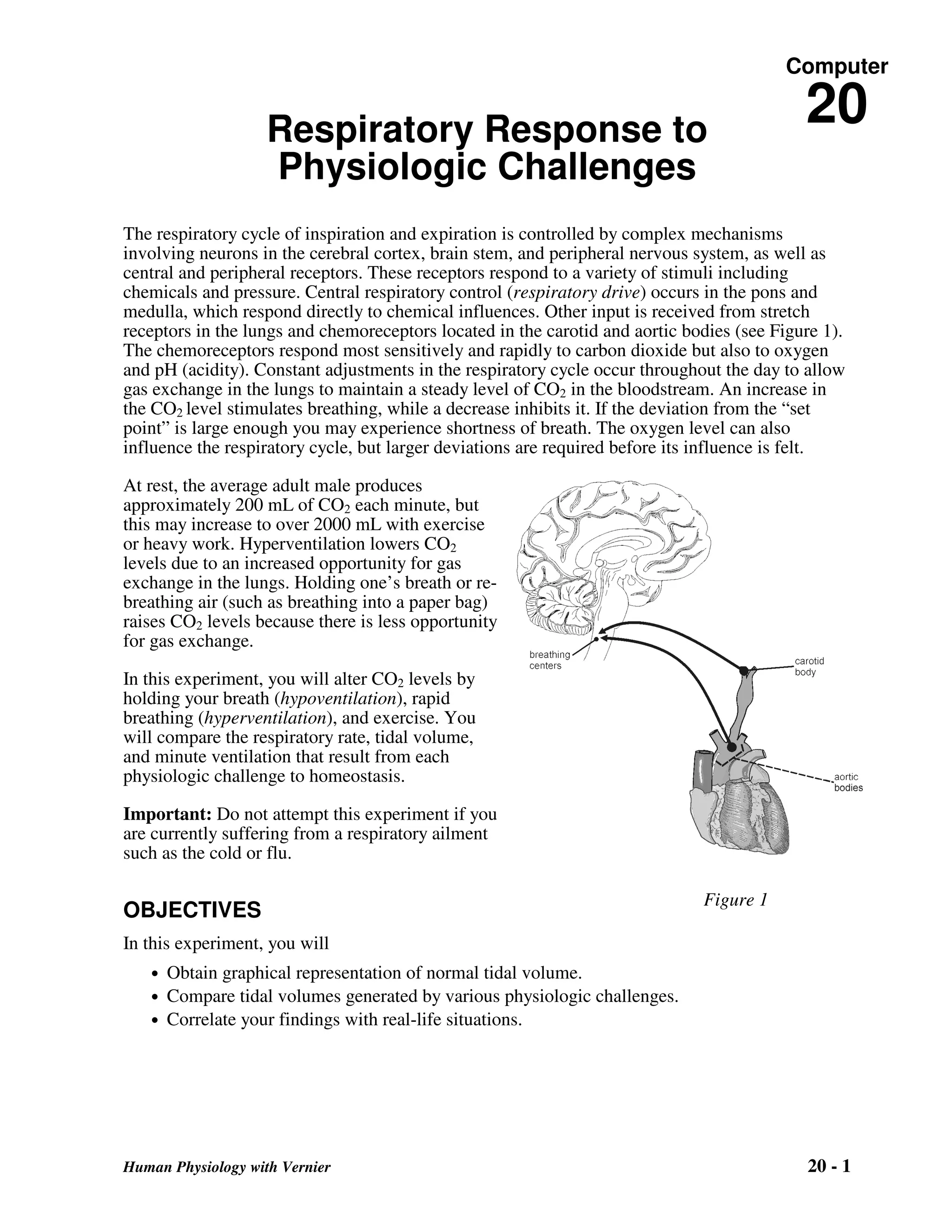 Anat and phys | PDF