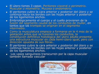 anatomia del aparato genital femenino | PPTX