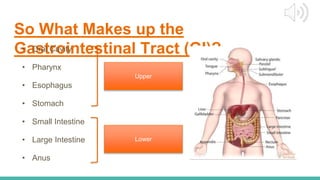 Anat assignment-GI tract presentation | PPTX