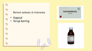 cefadroxil definisi, mekanisme kerja, farmakokinetik dan dinamik | PPTX