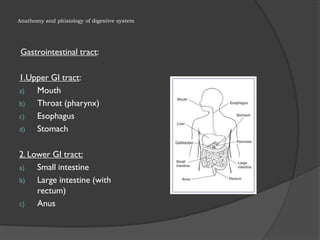 Anathomy-and-phisiology-of-digestive-system-final.pdf