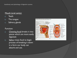 Anathomy-and-phisiology-of-digestive-system-final.pdf