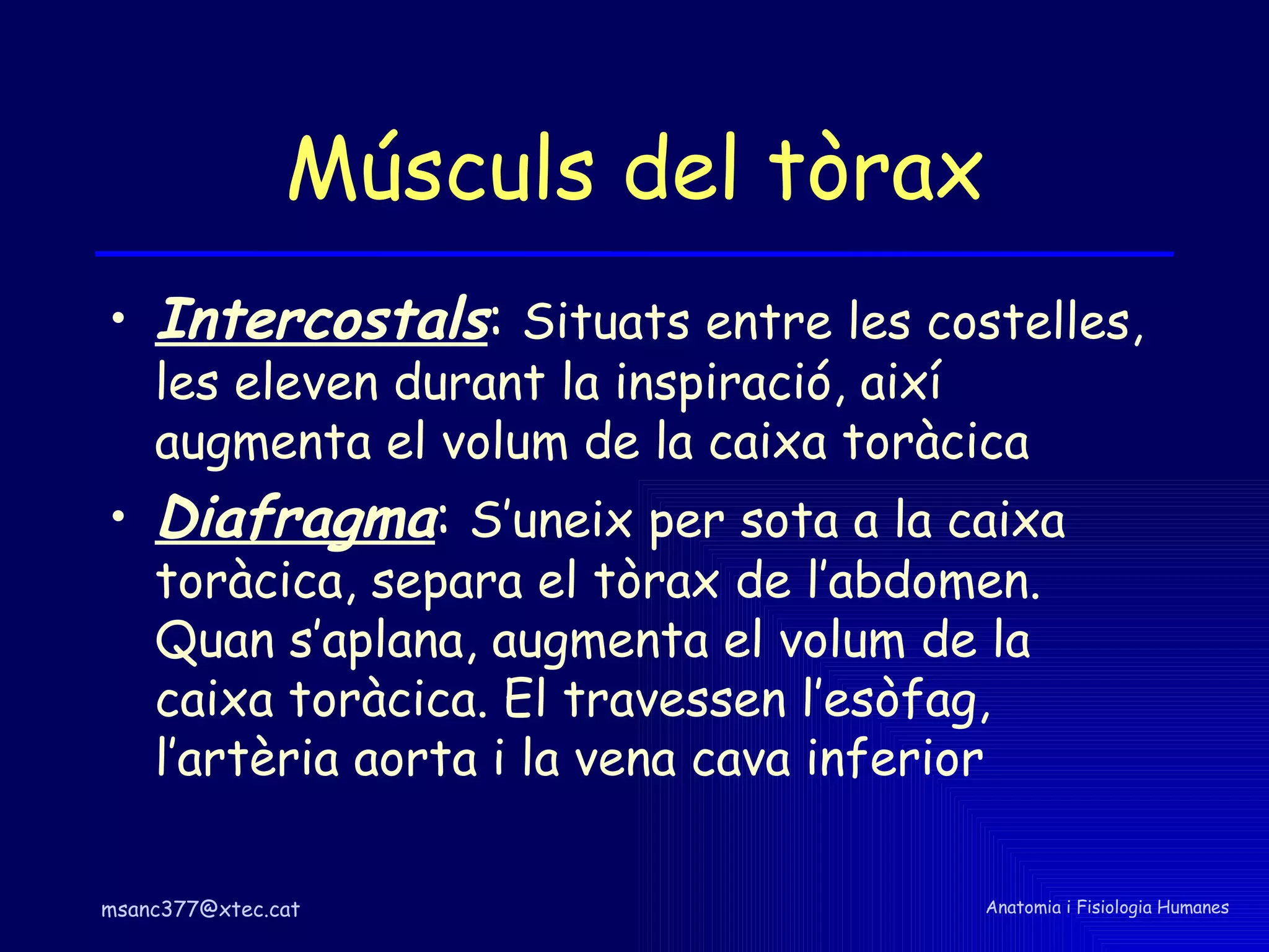 Aparell locomotor - Músculs de la cara i el cap | PPT