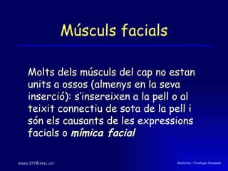 Aparell locomotor - Músculs de la cara i el cap | PPT