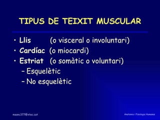 Aparell locomotor - Músculs de la cara i el cap | PPT