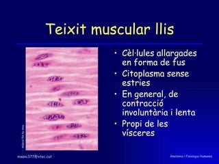 Aparell locomotor - Músculs de la cara i el cap | PPT