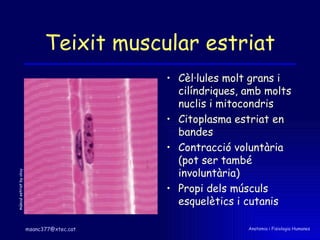 Aparell locomotor - Músculs de la cara i el cap | PPT