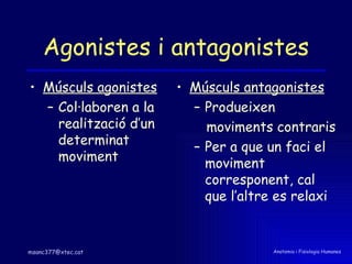 Aparell locomotor - Músculs de la cara i el cap | PPT