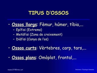 Aparell locomotor - Sistema ossi | PPT