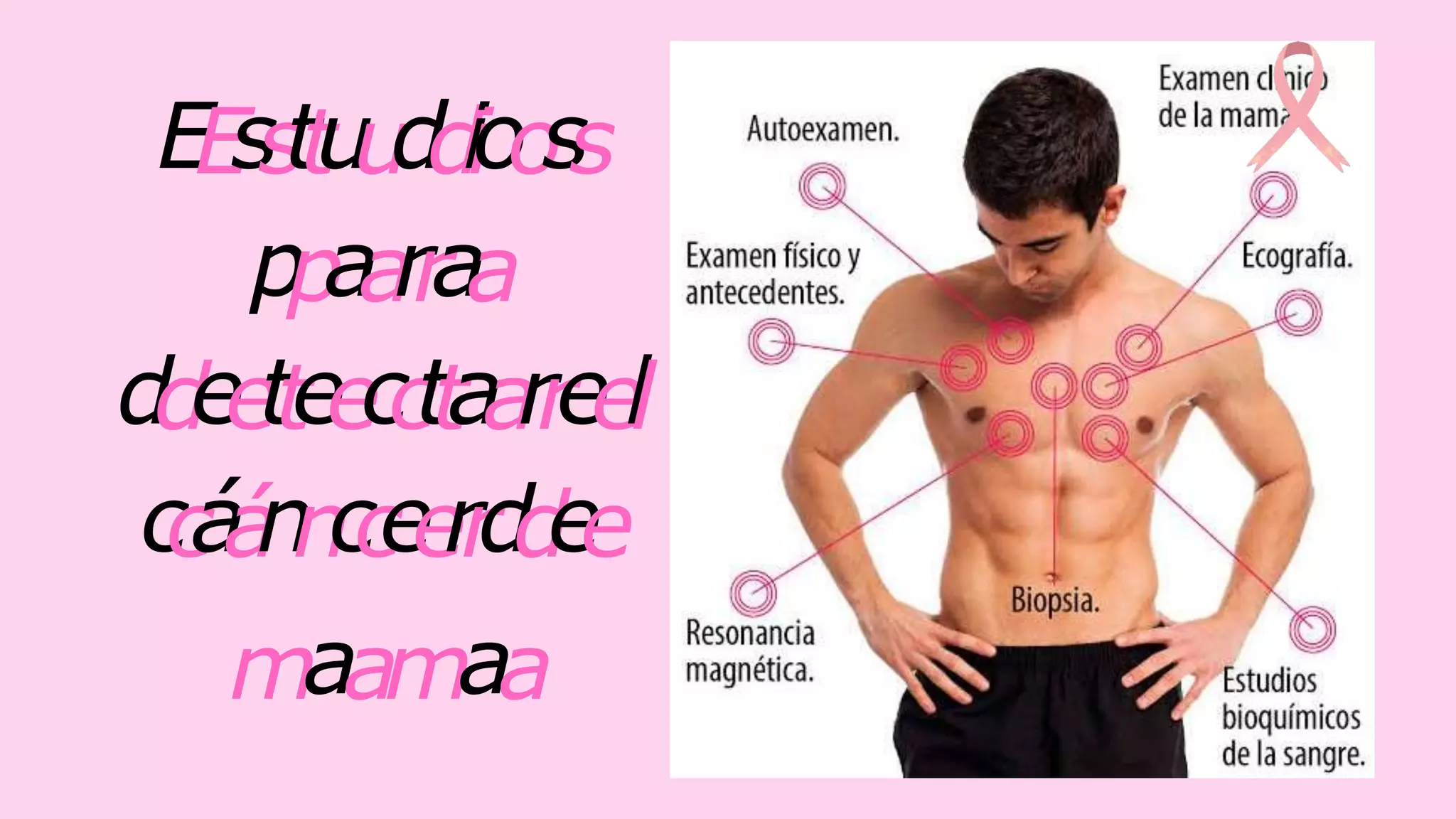 Anatómia-Cáncer-de-mama.pptx