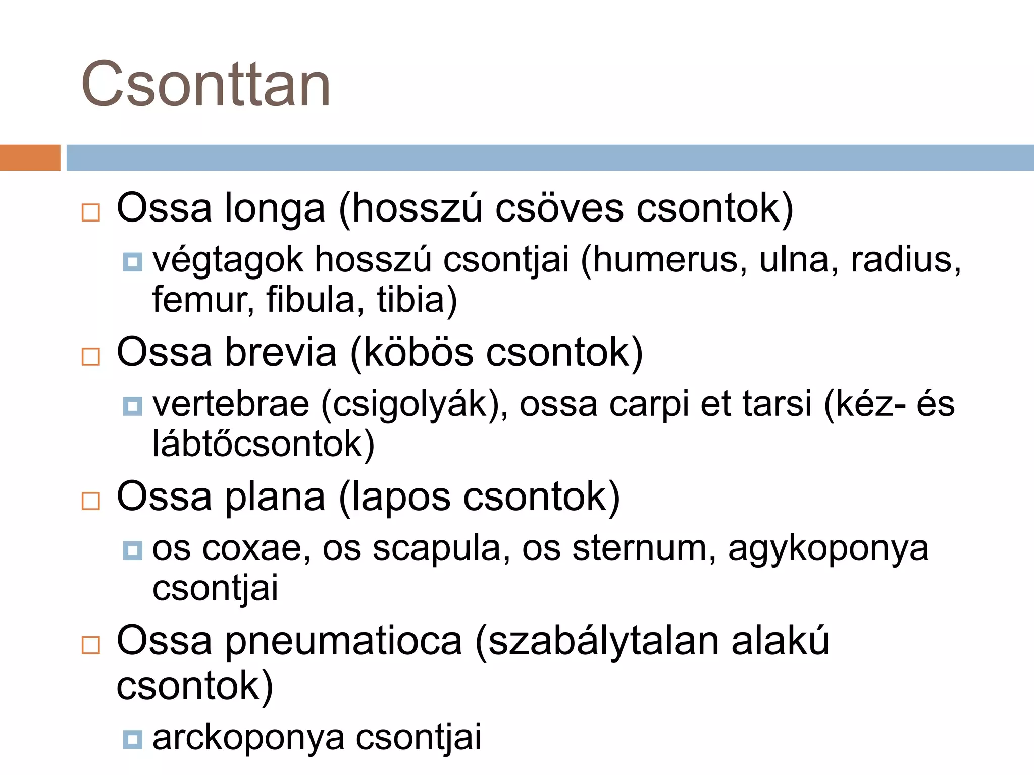 Anatómia analitikus hallgatóknak 1 | PPTX