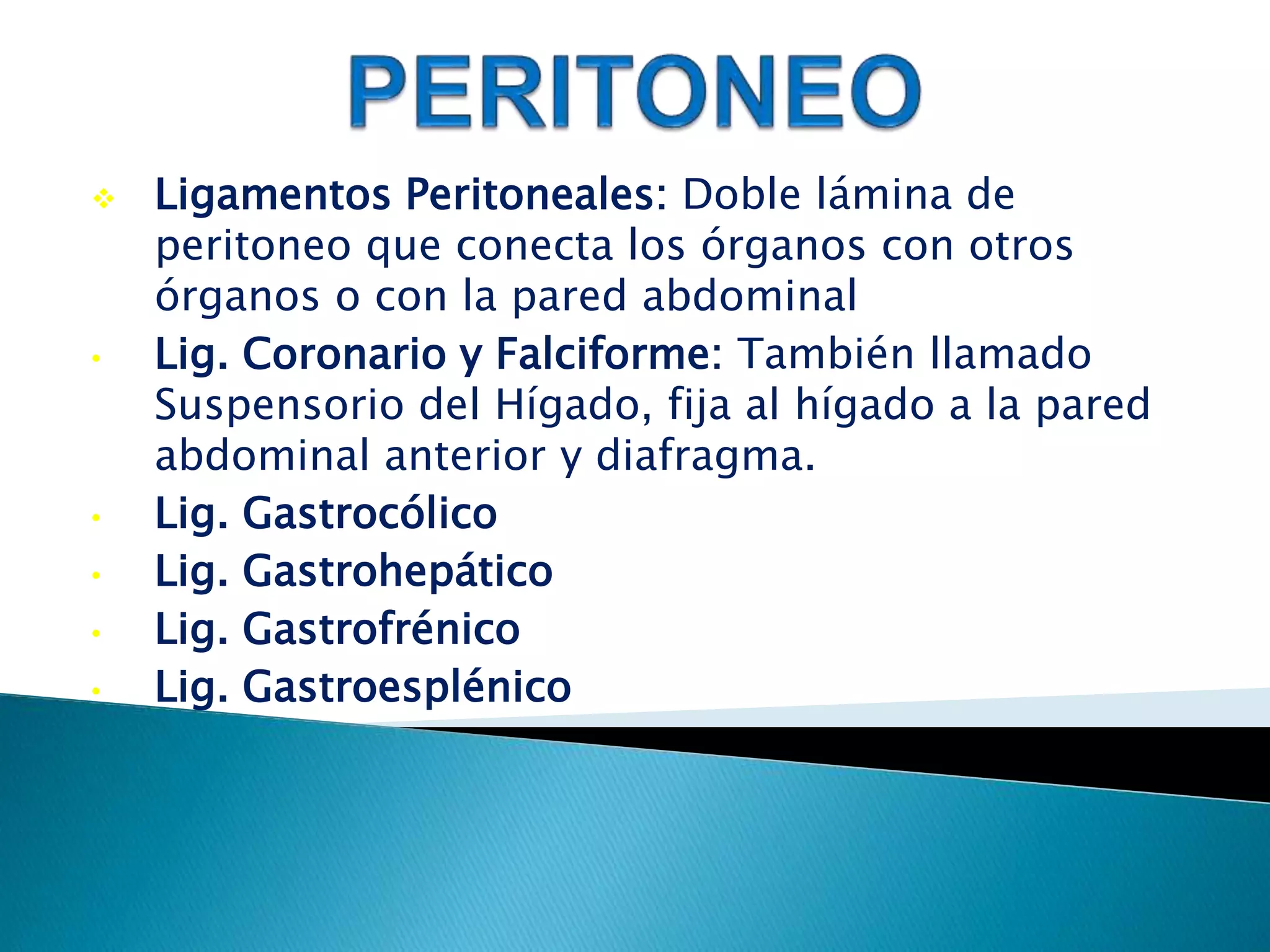 Anatomía y Fisiología del Peritoneo y Retroperitoneo - 2017 | PPTX ...