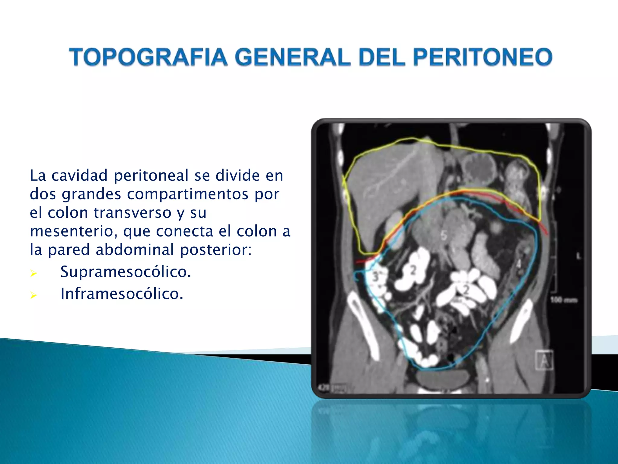 Anatomía y Fisiología del Peritoneo y Retroperitoneo - 2017 | PPTX ...
