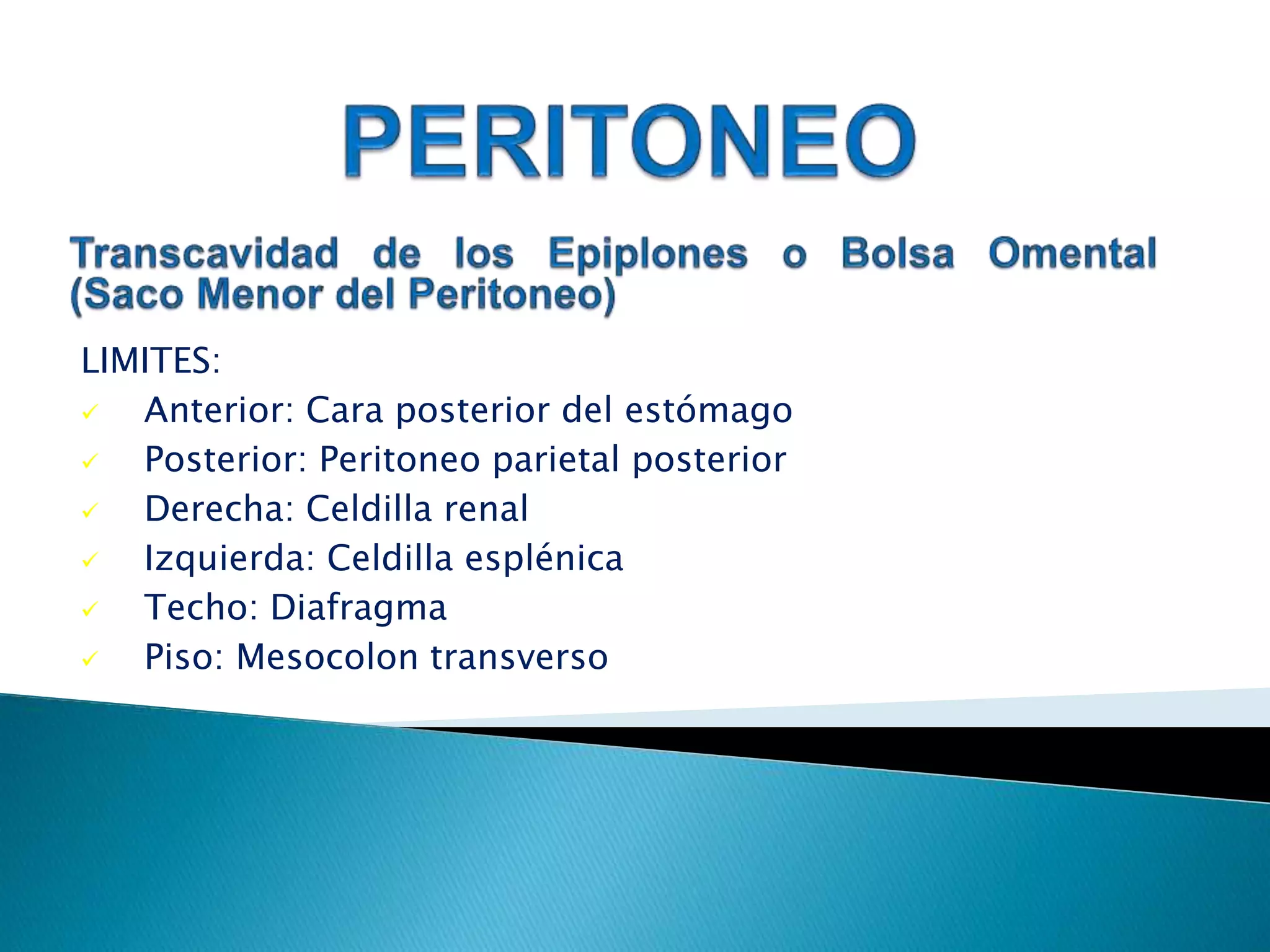 Anatomía y Fisiología del Peritoneo y Retroperitoneo - 2017 | PPTX ...